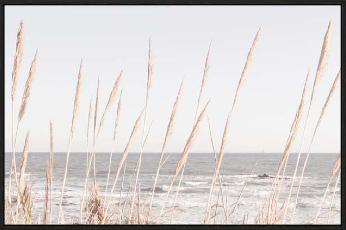 Studio III – Beach Vass 002 Wall Art